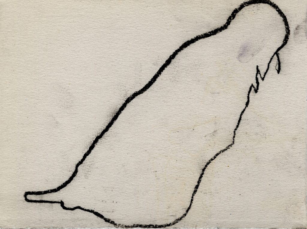 Monsters | eric de smet