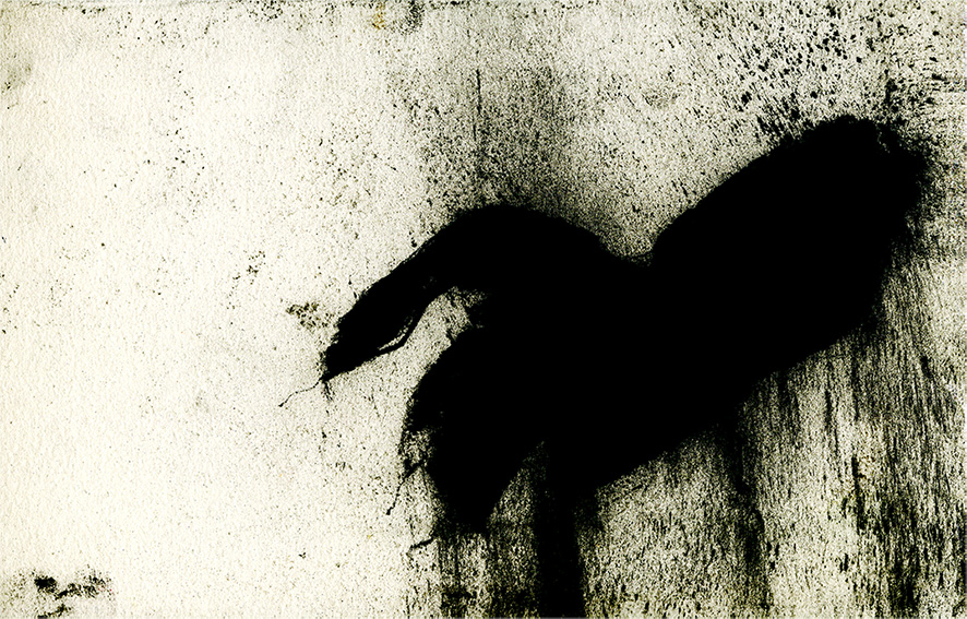 Privacy - Copyright © 2021 ericdesmet.be